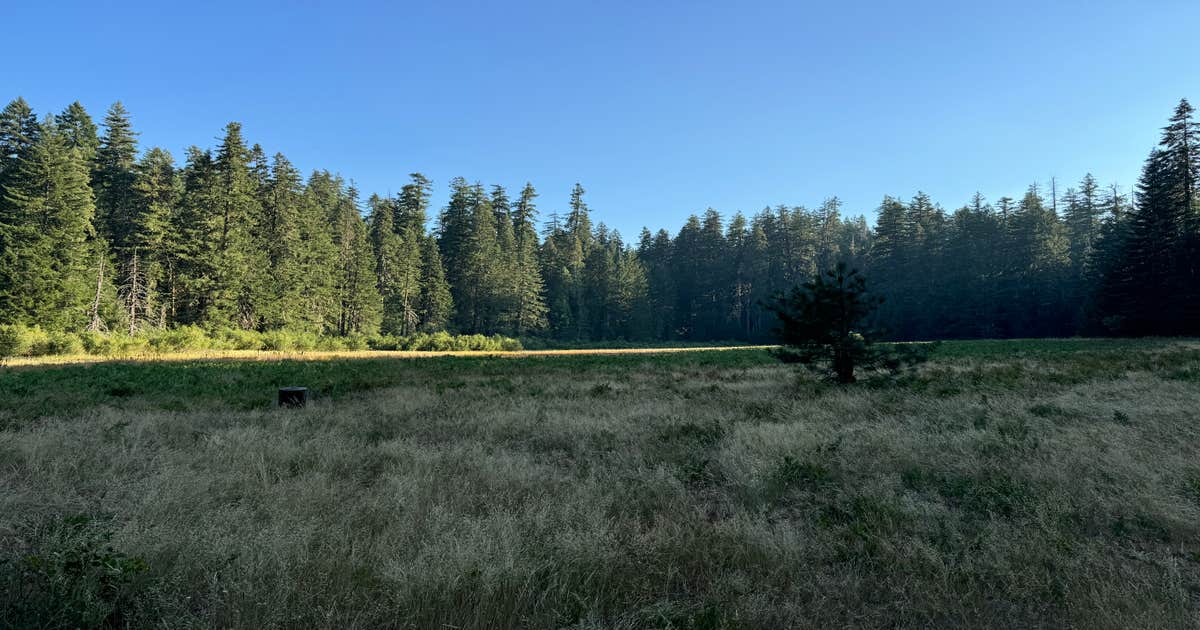 Groves Prairie Dispersed Camp | Willow Creek, CA