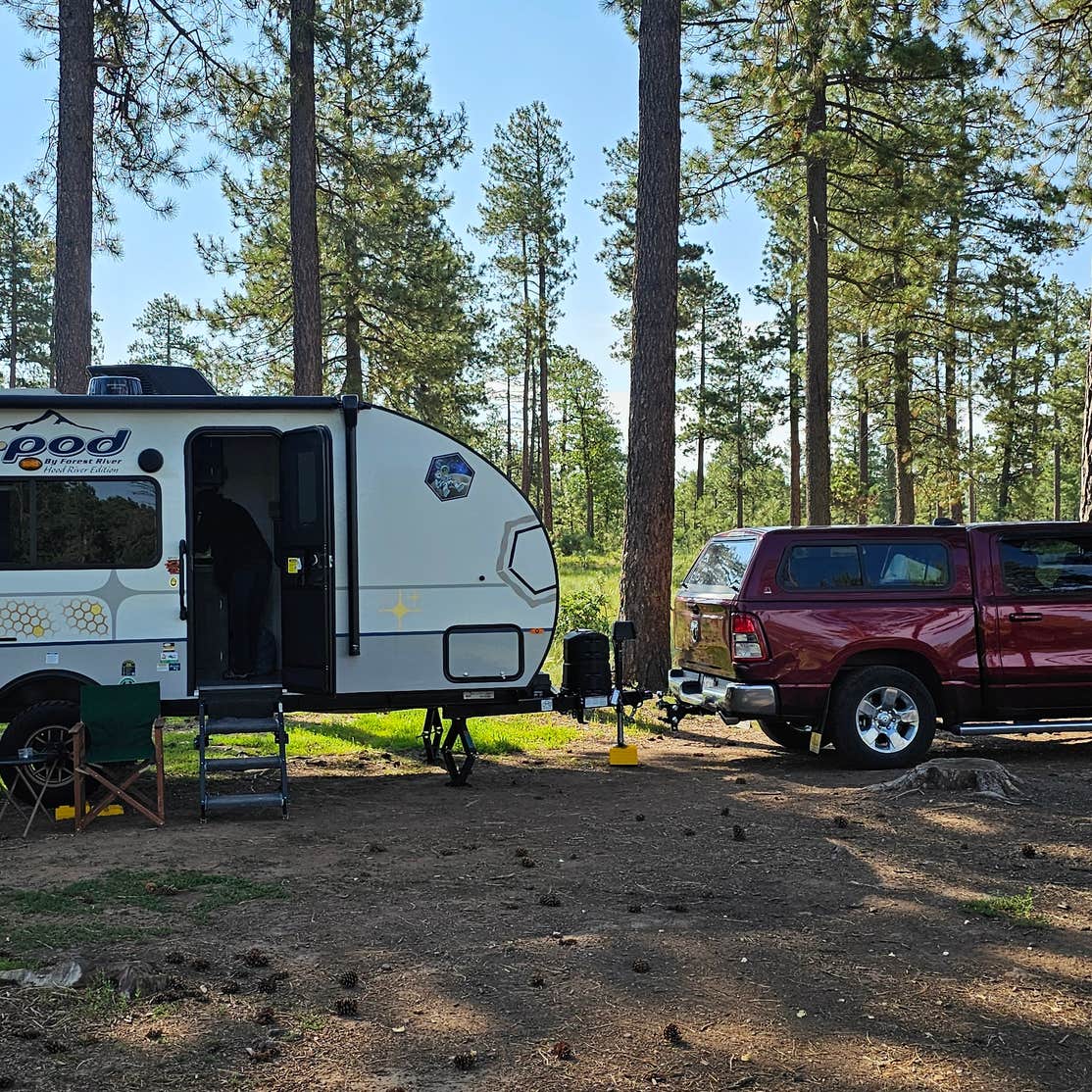 Mogollon Rimn Dispersed, AZ FR 9350 Camping | Kohls Ranch, Arizona