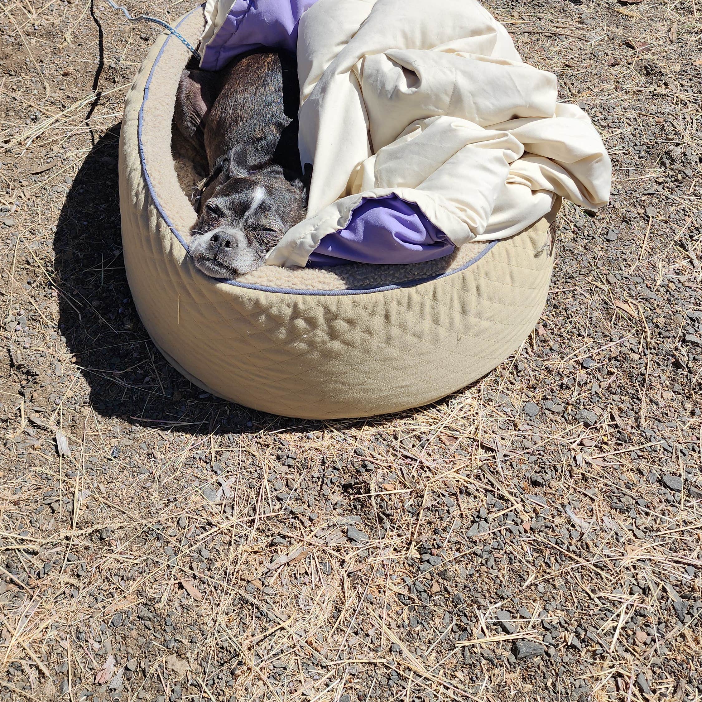 Haystack Reservoir Campground (East Shore) | Culver, Oregon