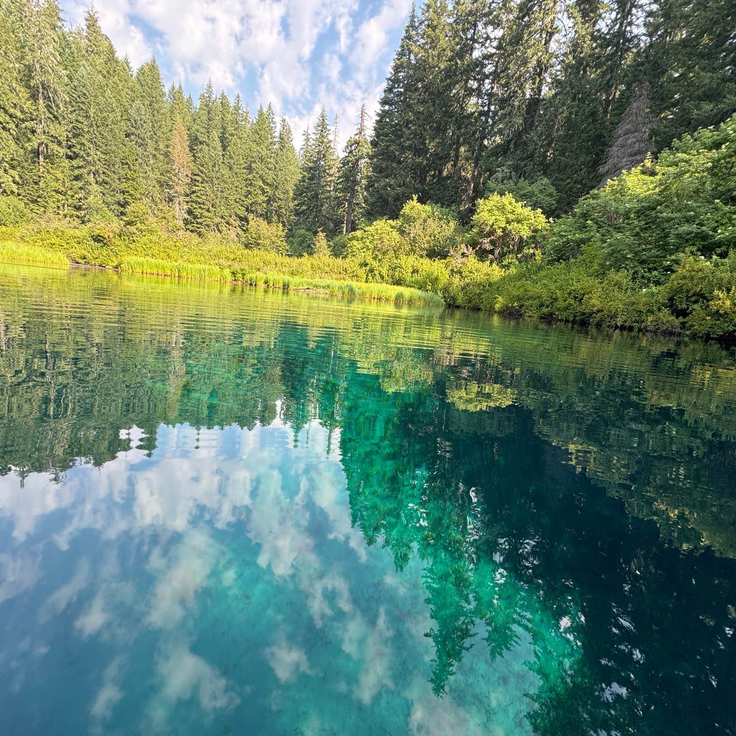 Paradise In Oregon Camping | Mckenzie Bridge, Oregon