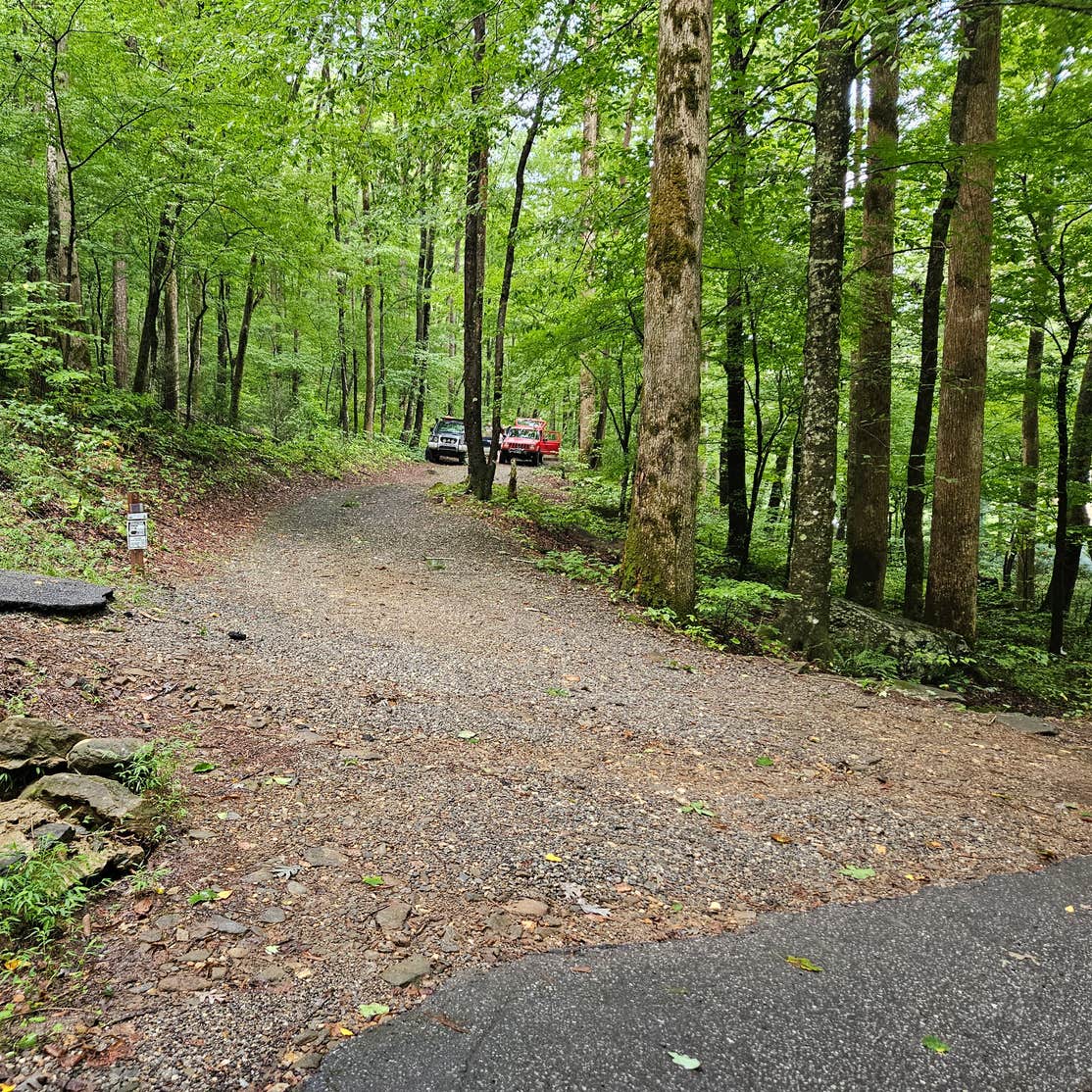 Andrew's Cove Campground — Chattahoochee Oconee National Forest | Helen ...