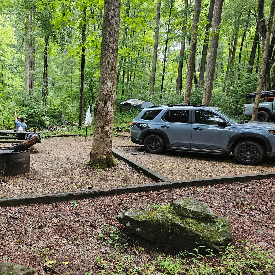 Andrew's Cove Campground — Chattahoochee Oconee National Forest | Helen ...