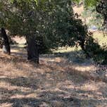 Lopez Lake Recreation Area Camping | Arroyo Grande, California