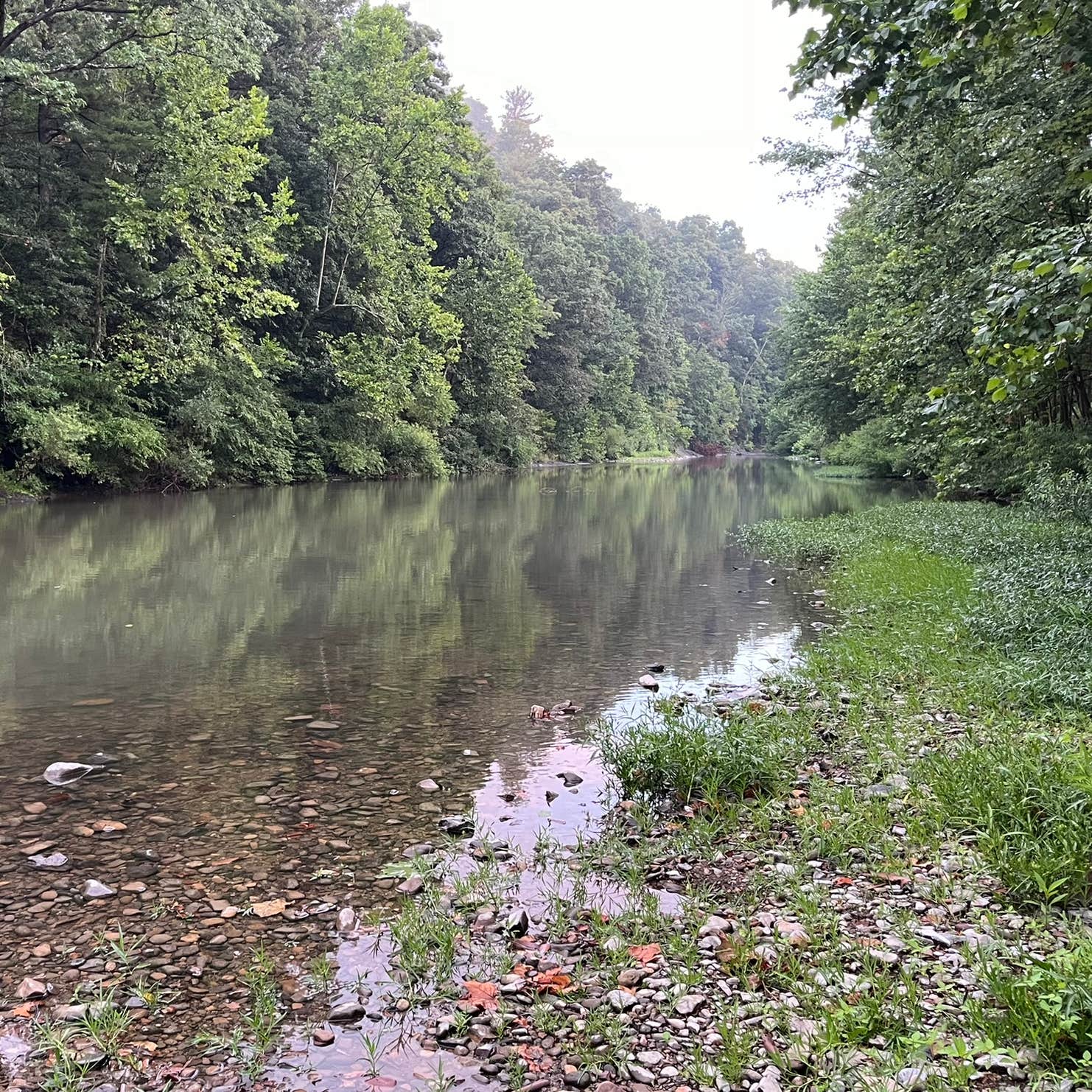 Bennie’s Beach Campground | Fulks Run, Virginia