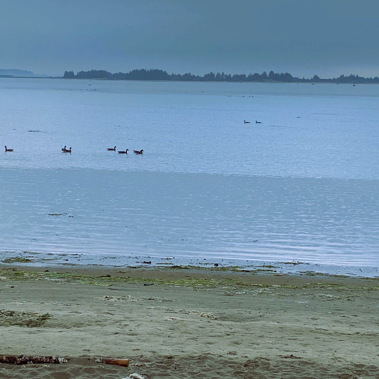 Bay Point Landing Camping | Coos Bay, Oregon