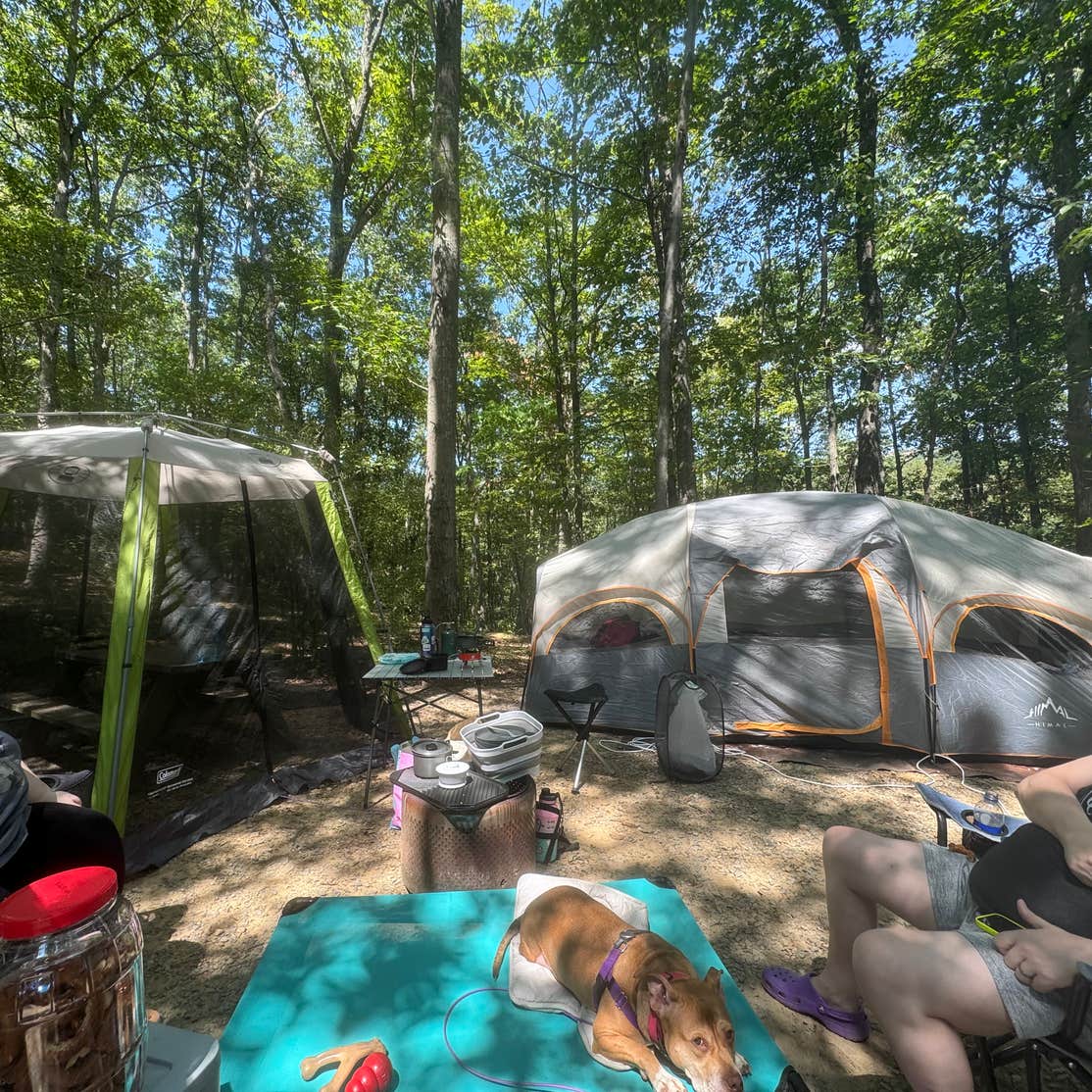 Middle Ridge Campground | Romney, West Virginia