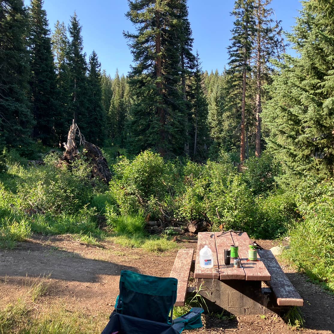 Redman Campground | Brighton, Utah