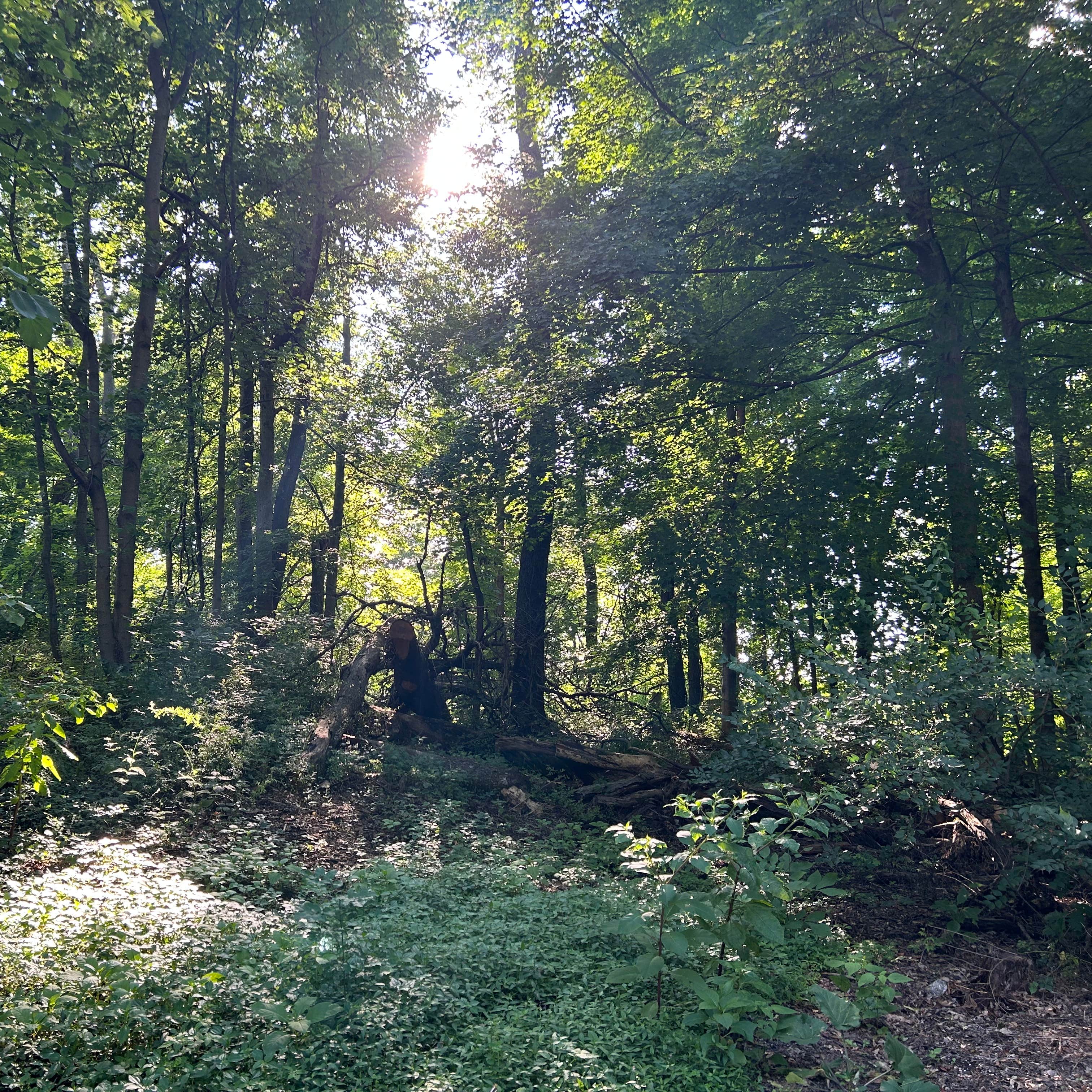 Countryside Campground | Mogadore, Ohio