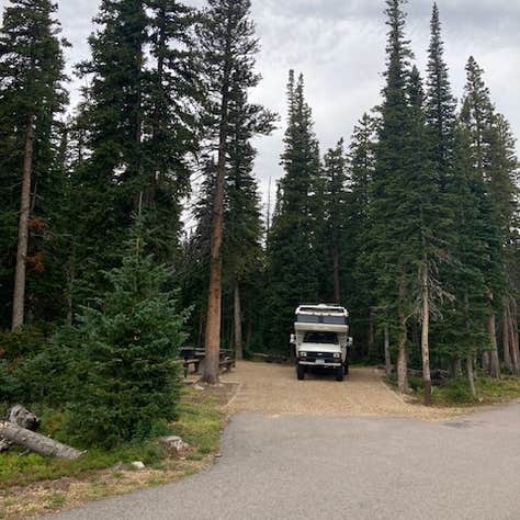 Pawnee Campground | Ward, Colorado