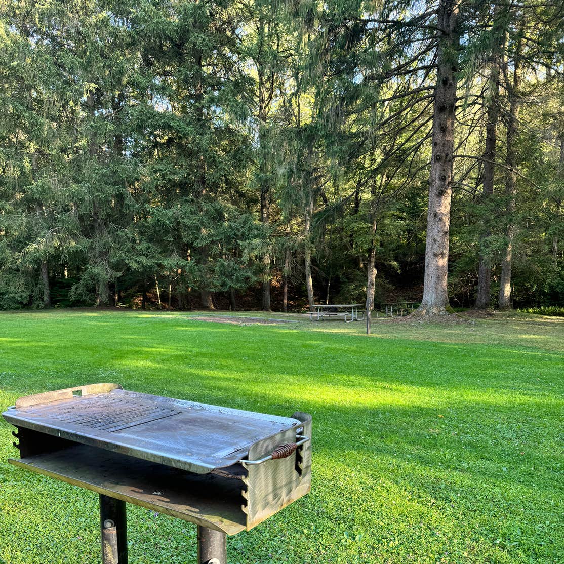 Kooser State Park Campground | Jones Mills, Pennsylvania