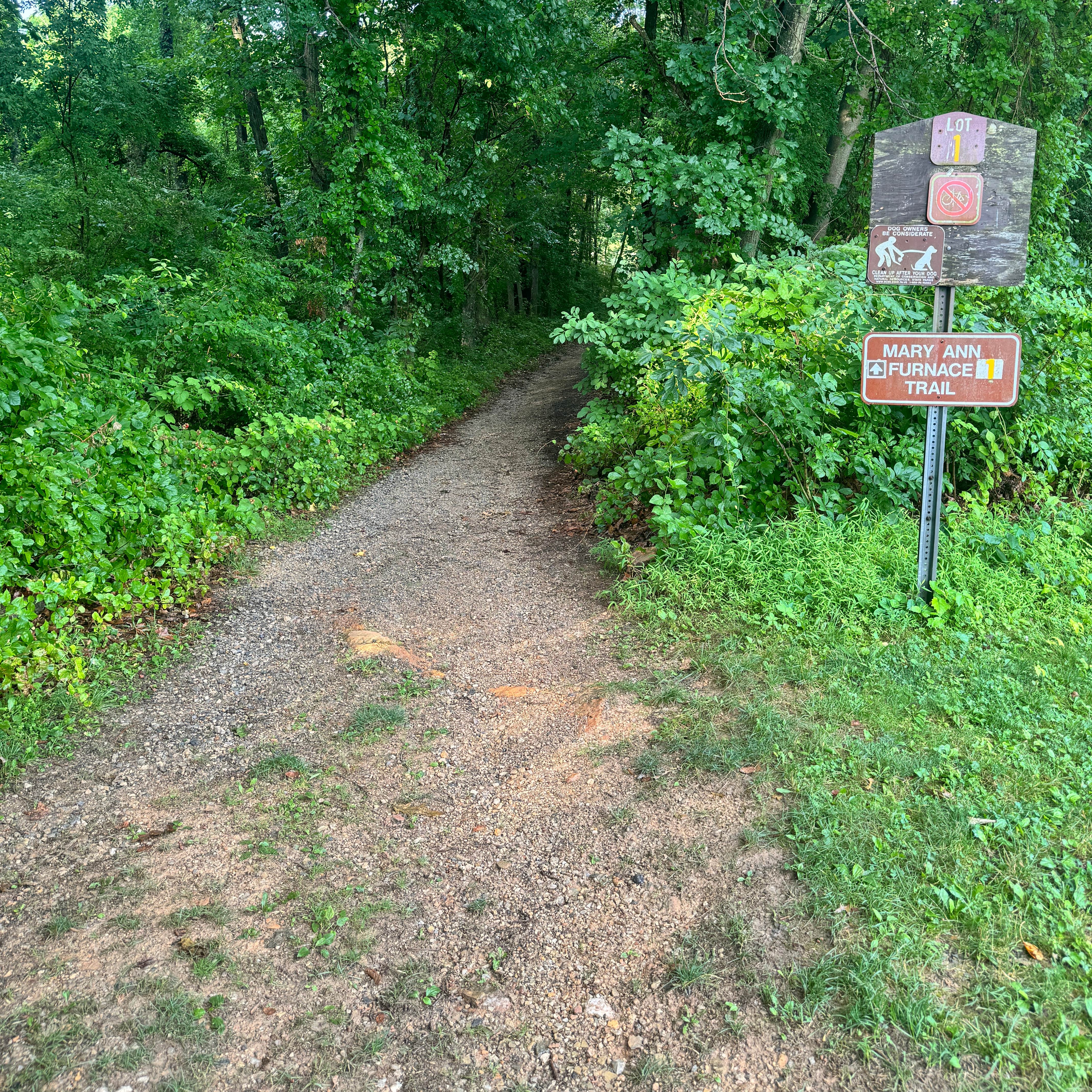 Codorus State Park Campground | Porters Sideling, Pennsylvania