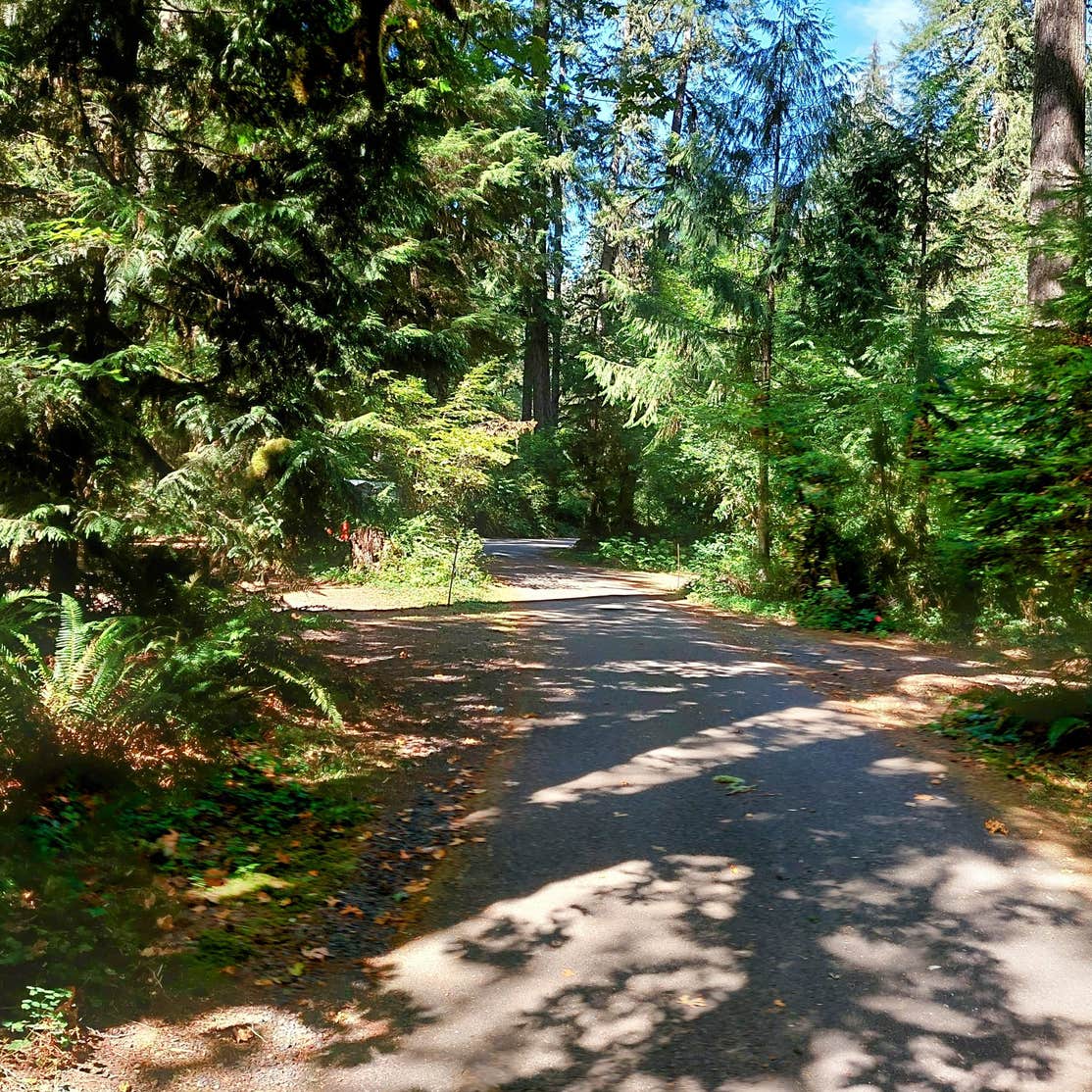 Cascadia State Park Campground | Cascadia, Oregon