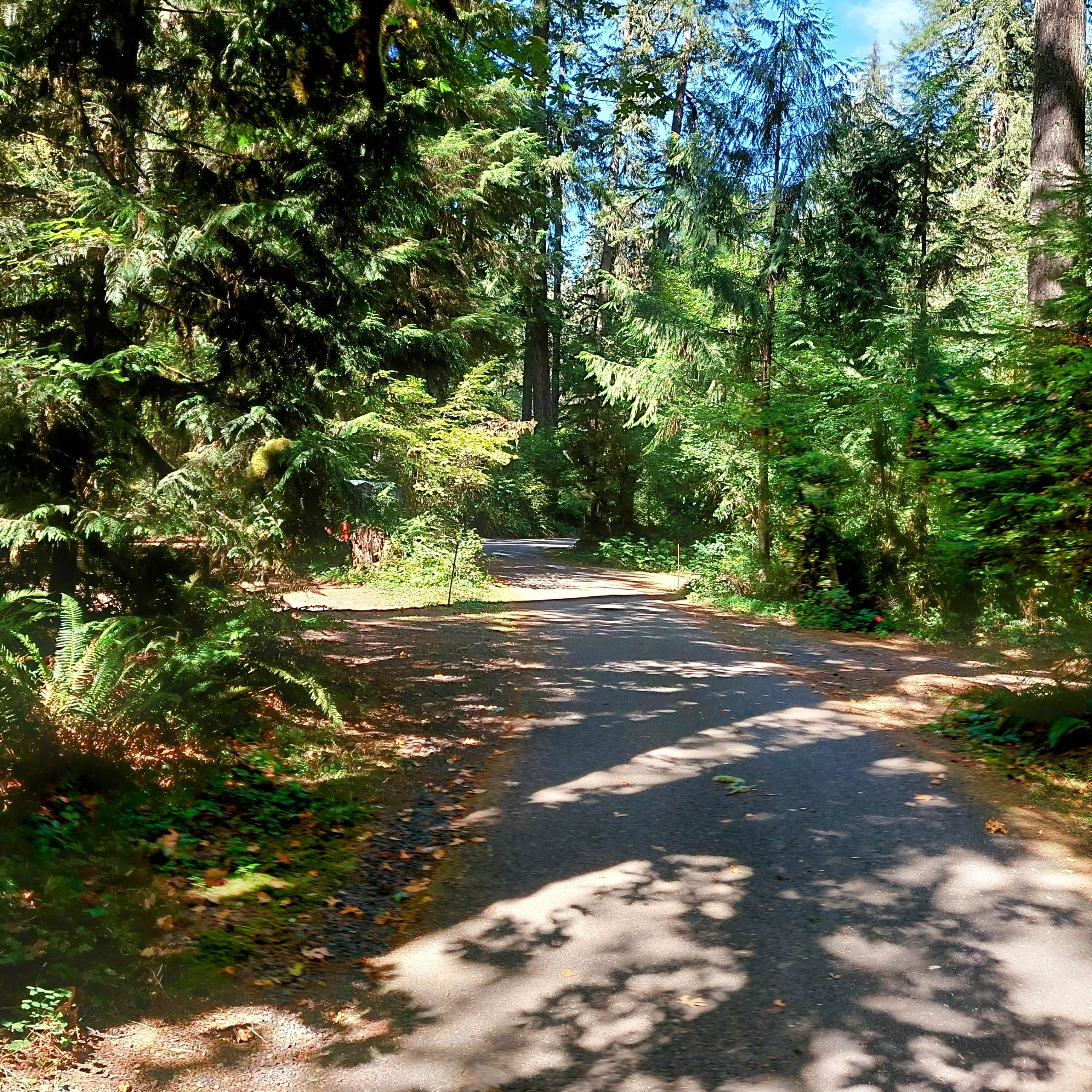 Cascadia State Park Campground | Cascadia, Oregon