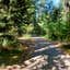 Cascadia State Park Campground | Cascadia, Oregon