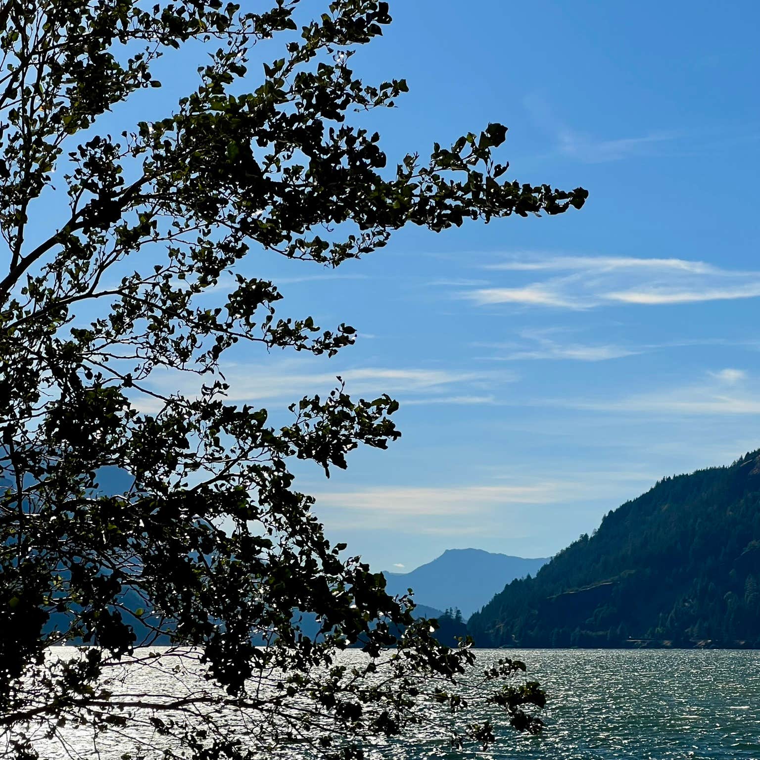 Viento State Park Campground | Columbia River Gorge National Scenic ...
