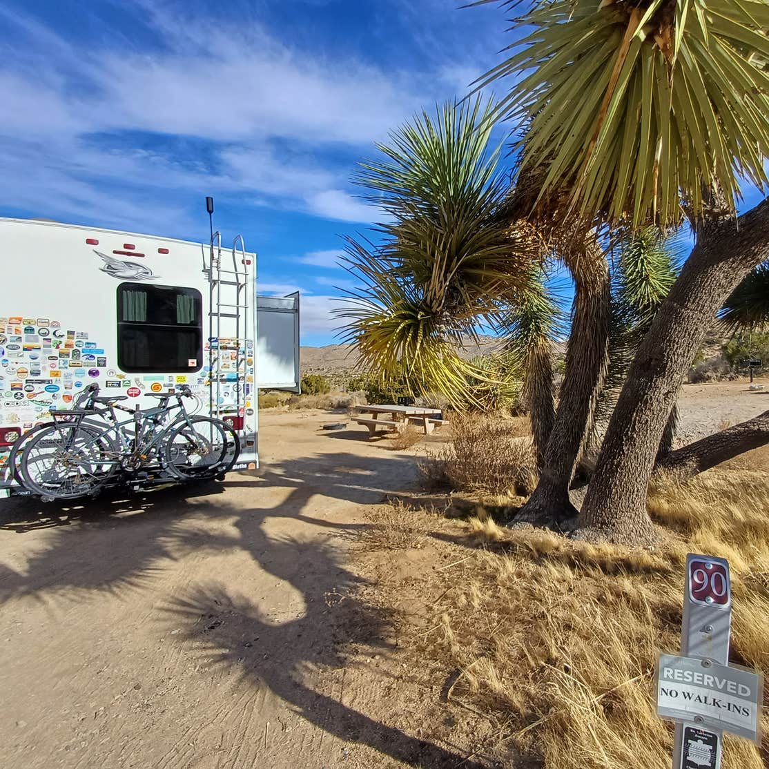 Black Rock Campground — Joshua Tree National Park | Yucca valley, CA