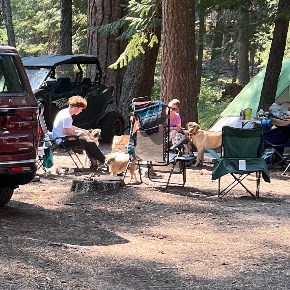 Yellow Pine Campground | Unity, Oregon
