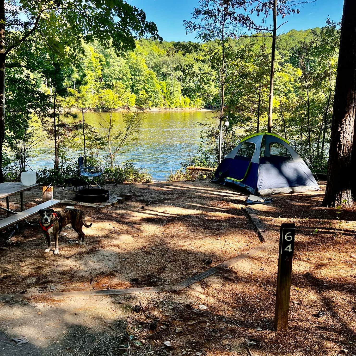 Holly Point — Falls Lake State Recreation Area Camping | Creedmoor ...