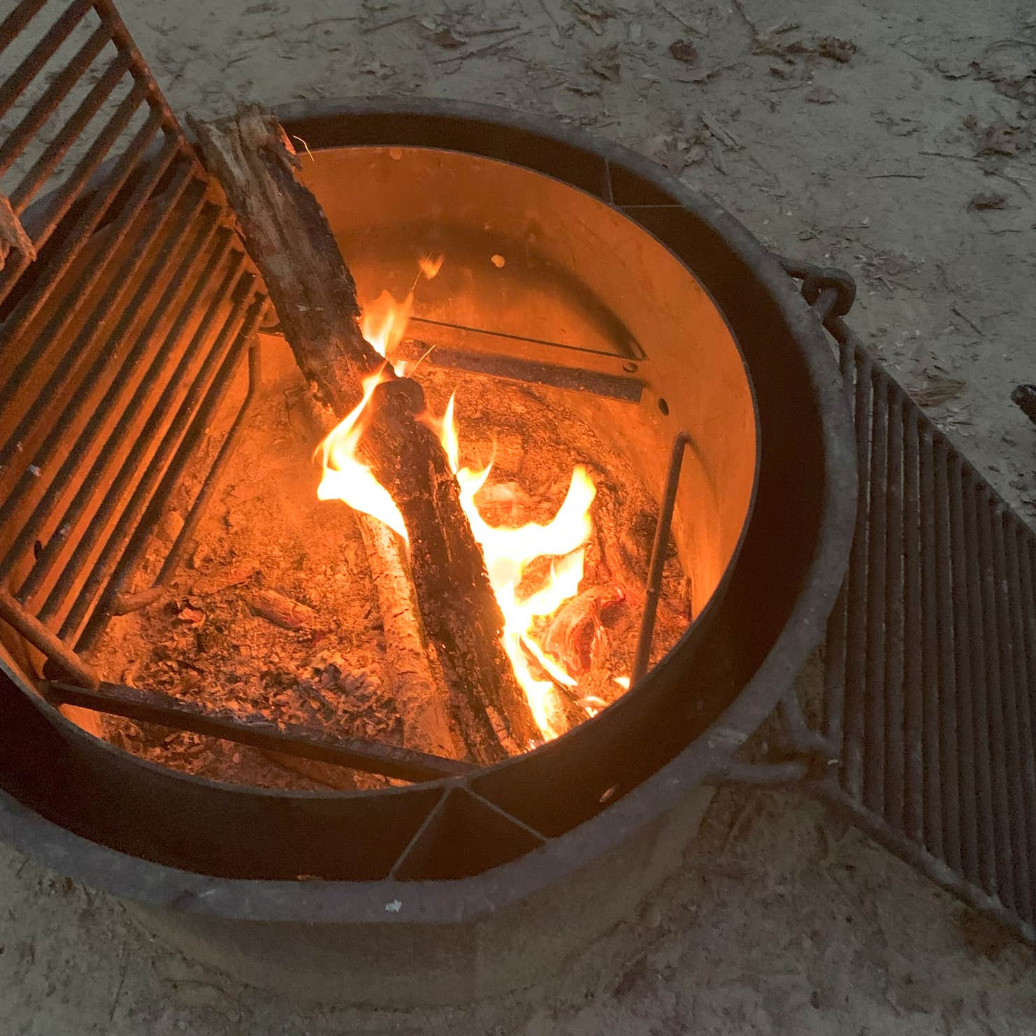 Oak Ridge Campground — Prince William Forest Park | Dumfries, Virginia