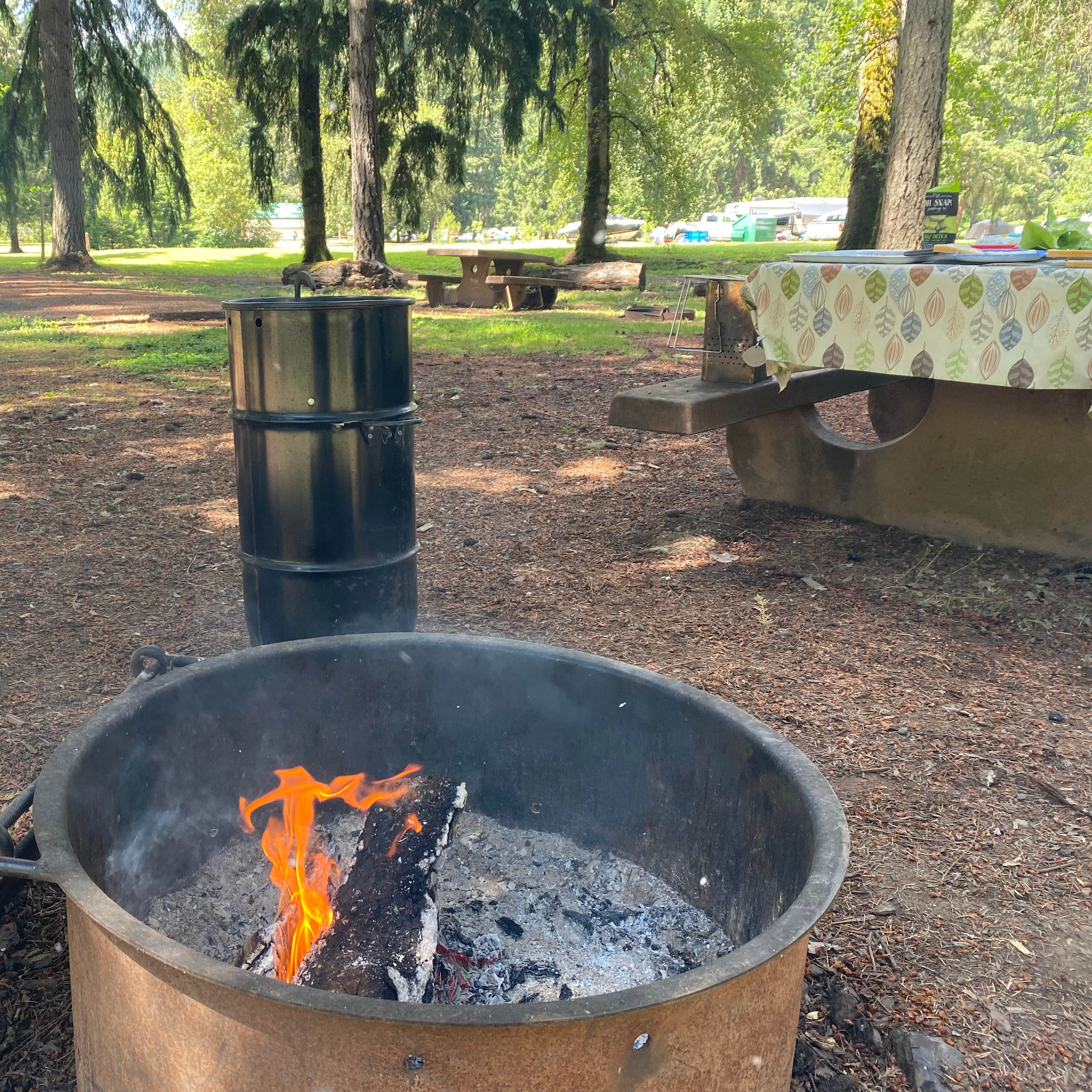 COE Dorena Reservoir Schwarz Campground | Cottage Grove, Oregon