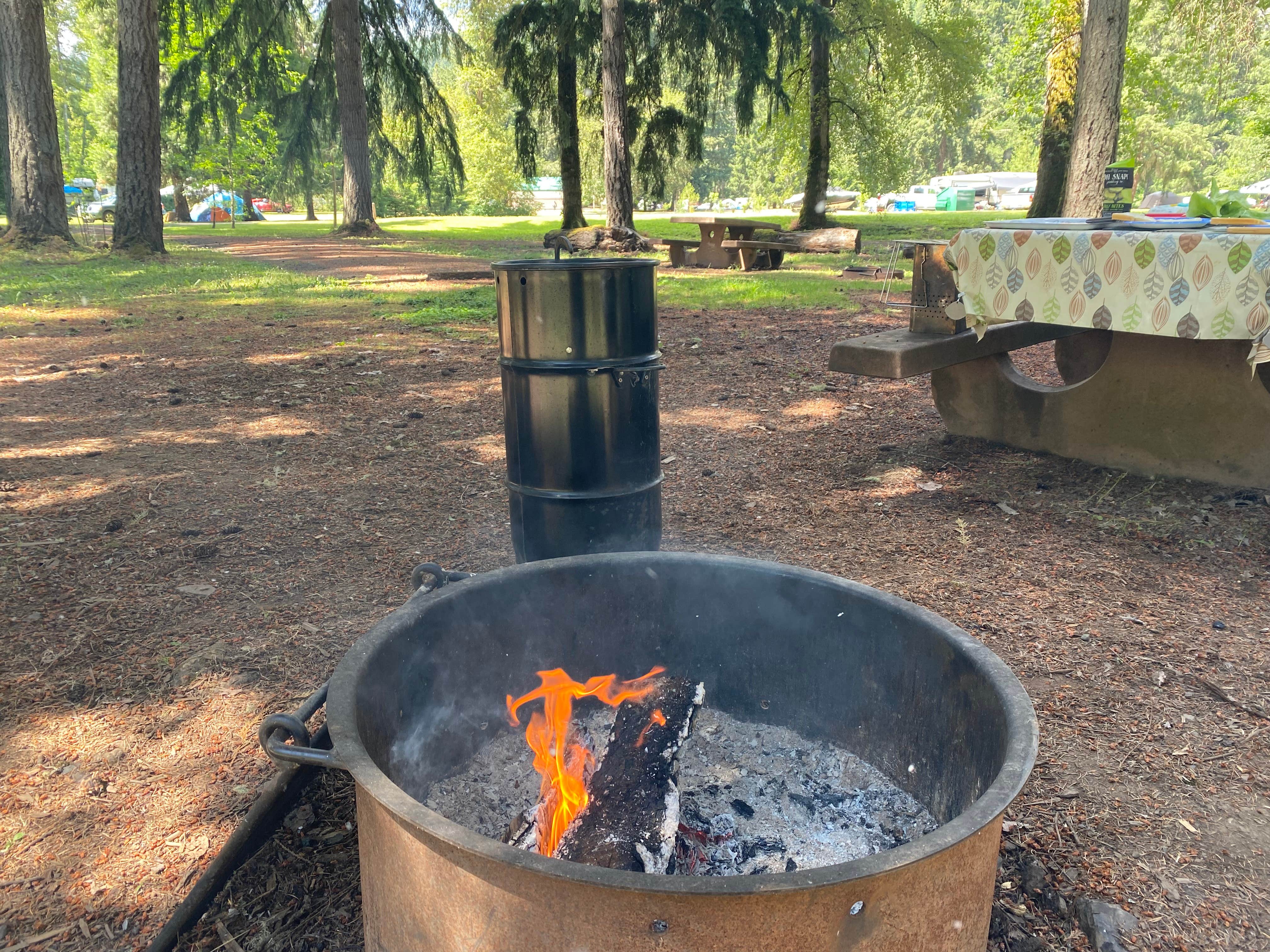 COE Dorena Reservoir Schwarz Campground | Cottage Grove, Oregon