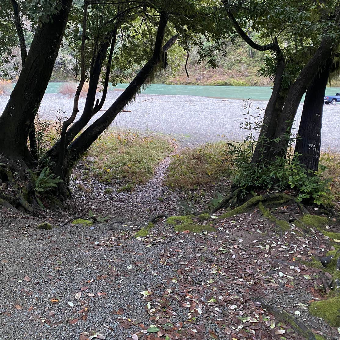 Alfred A. Loeb State Park Campground | Brookings, Oregon