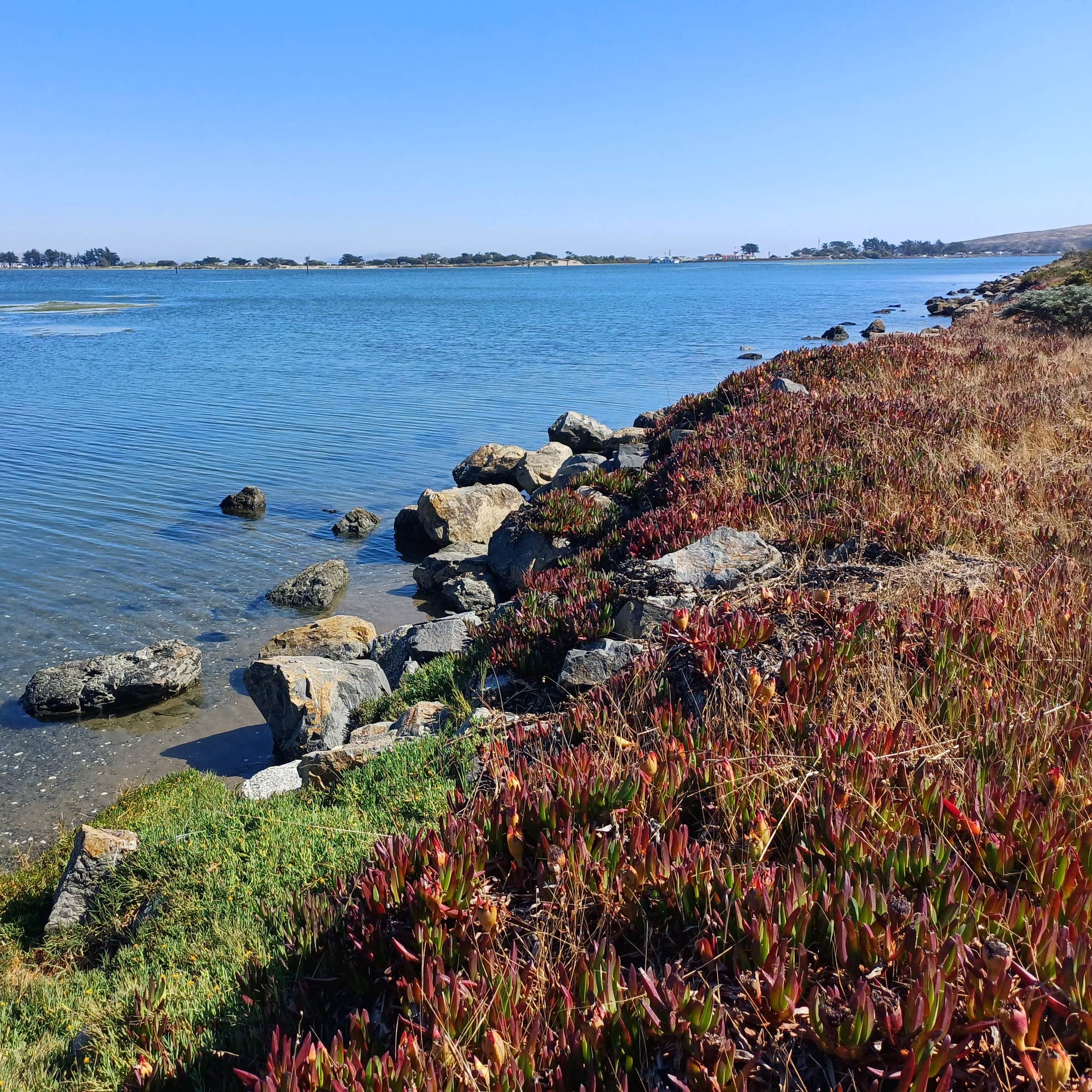 Westside Regional Park Camping | Bodega Bay, California