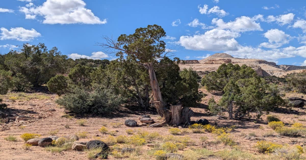 Dispersed Campsite Near Capital Reef National Park | Torrey, UT