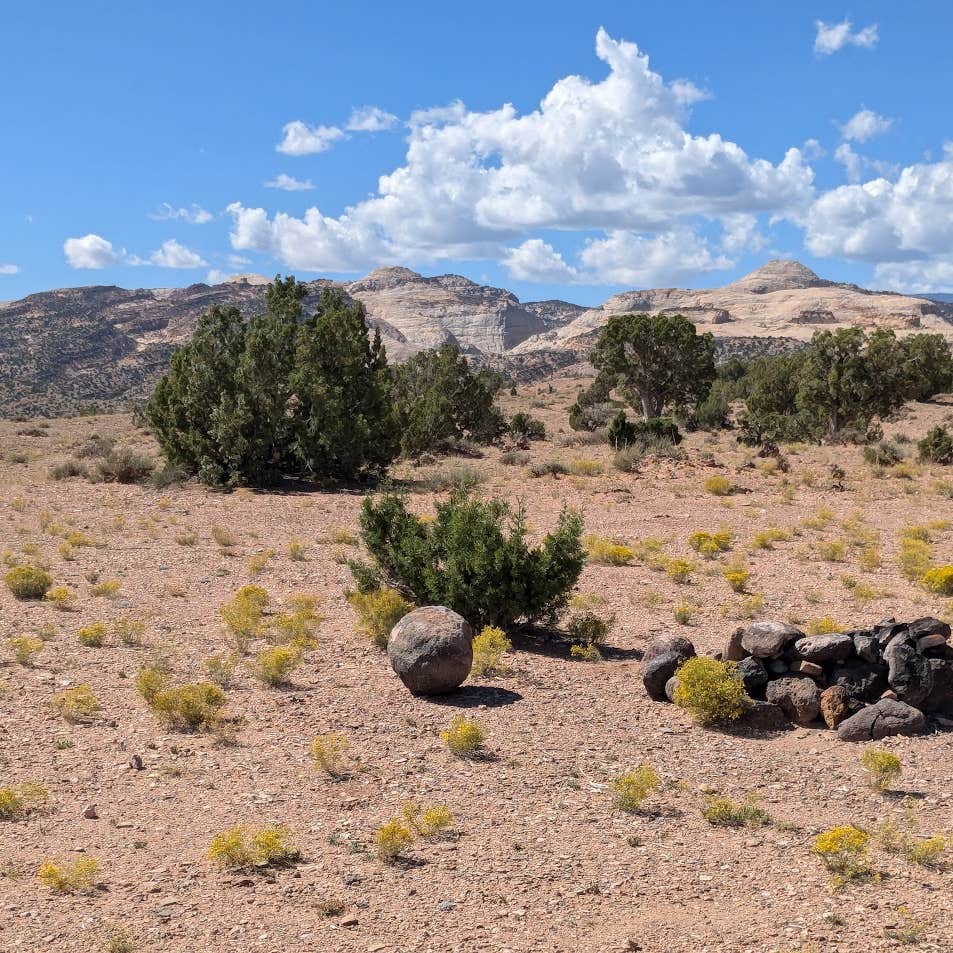 Large Dispersed Campsite off BLM 0151 on E Pleasant Creek Diversion Rd ...