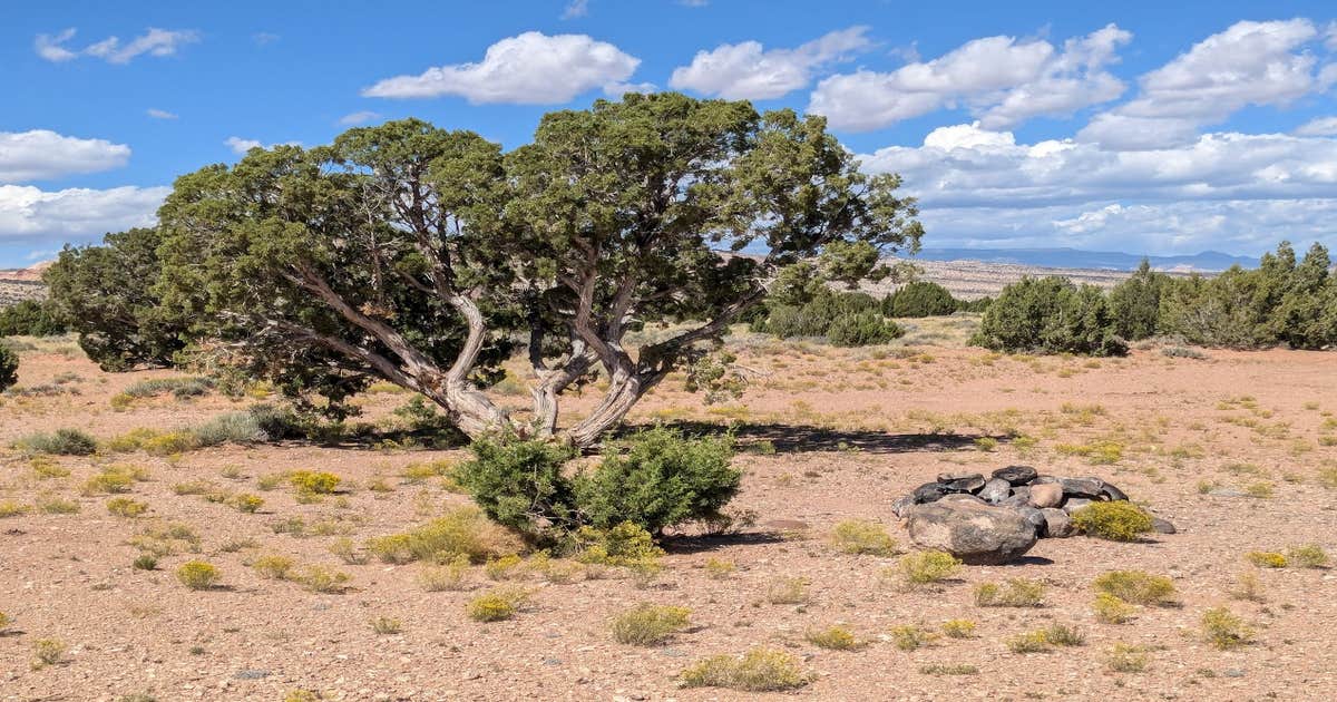 Large Dispersed Campsite off BLM 0151 on E Pleasant Creek Diversion Rd ...