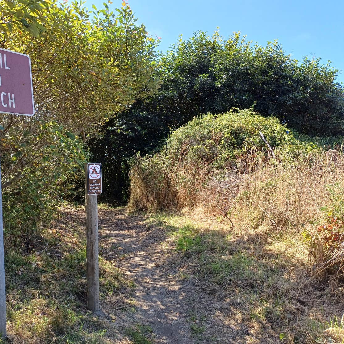 Clam Beach County Park Camping | McKinleyville, California