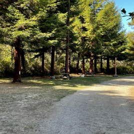 Pomo RV Park & Campground | Fort Bragg, California