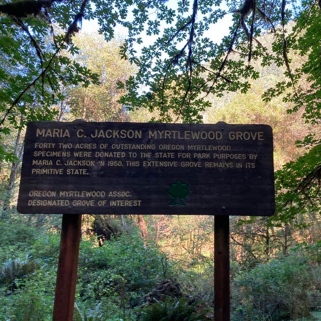 Maria C Jackson State Park Camping | Camas Valley, Oregon