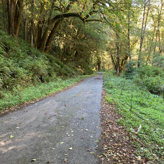 Maria C Jackson State Park Camping | Camas Valley, Oregon