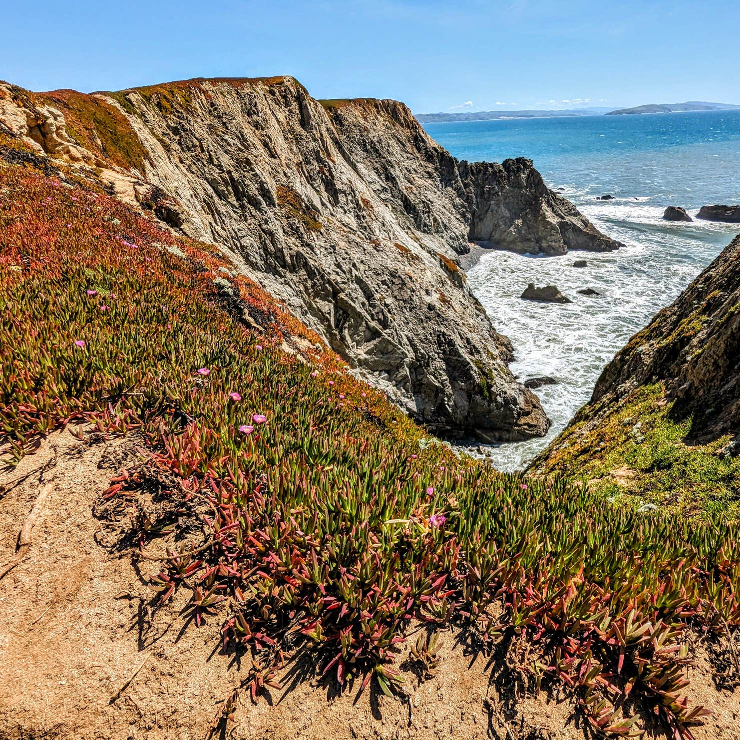 Bodega Dunes Campground — Sonoma Coast State Park | Bodega Bay, California