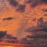 Caballo Loco Ranch and RV Park | Green Valley, Arizona