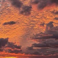 Caballo Loco Ranch and RV Park | Green Valley, Arizona