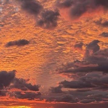 Caballo Loco Ranch and RV Park | Green Valley, Arizona