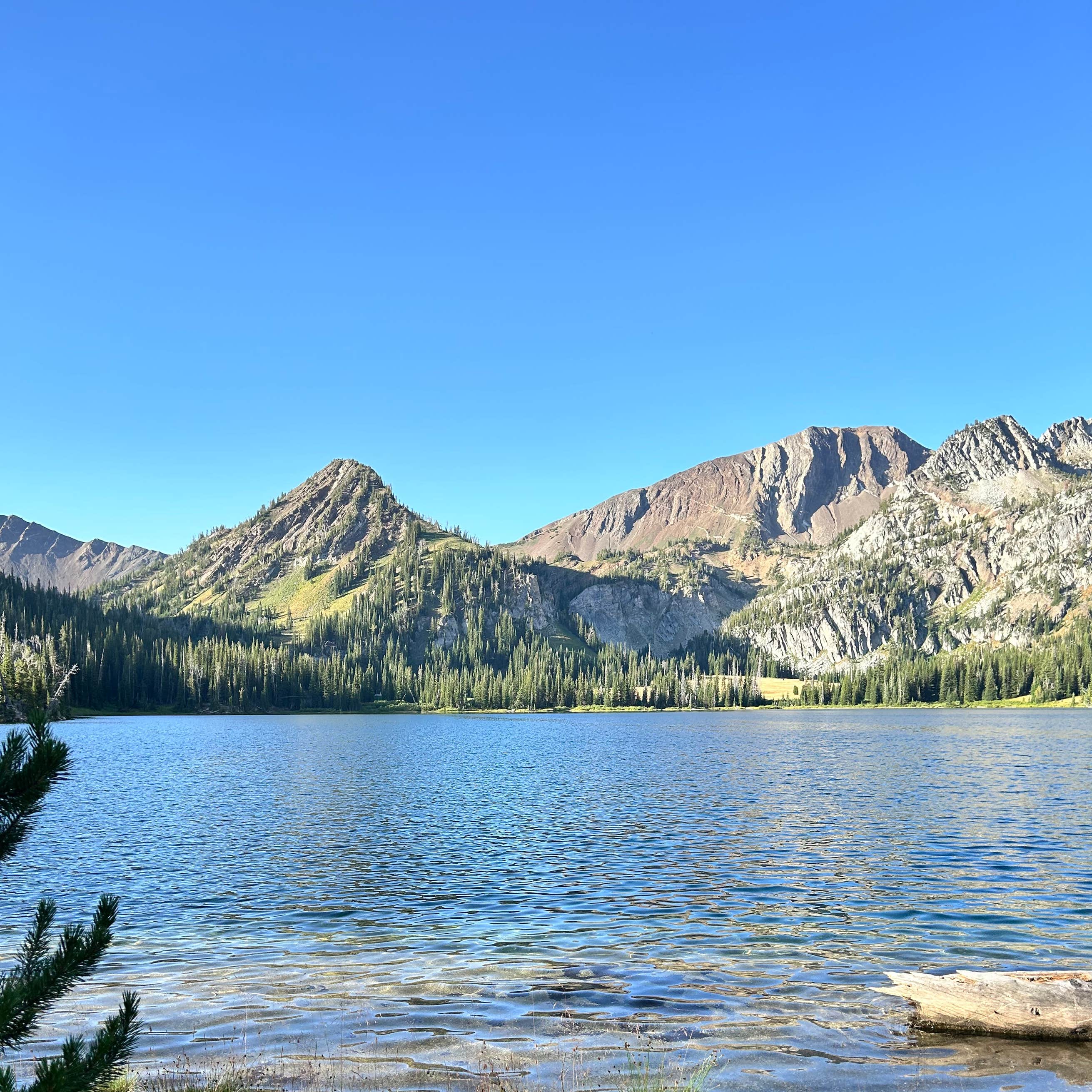 Aneroid Lake Backcountry Dispersed Campsite | Joseph, Oregon