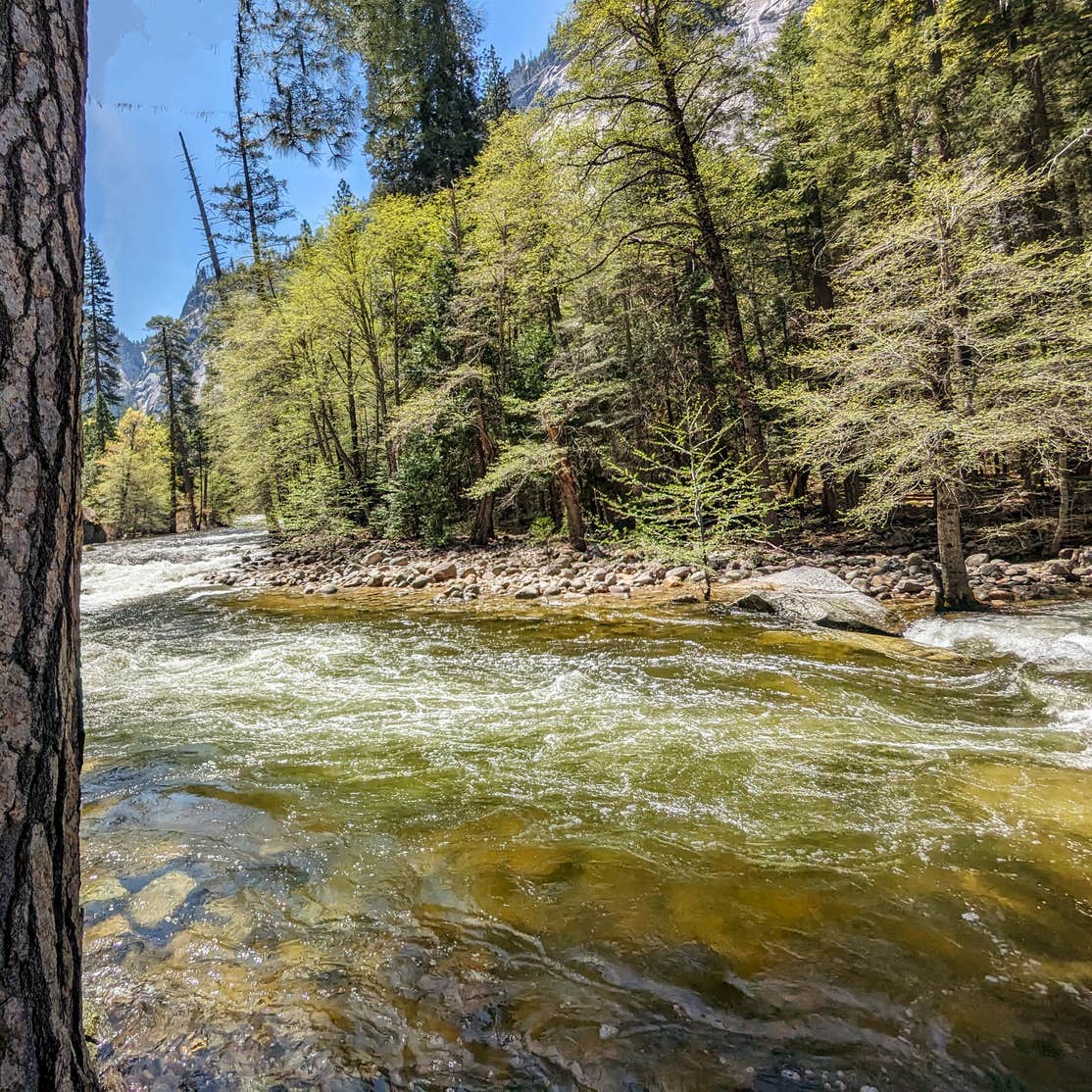 North Pines Campground — Yosemite National Park | Yosemite Valley ...