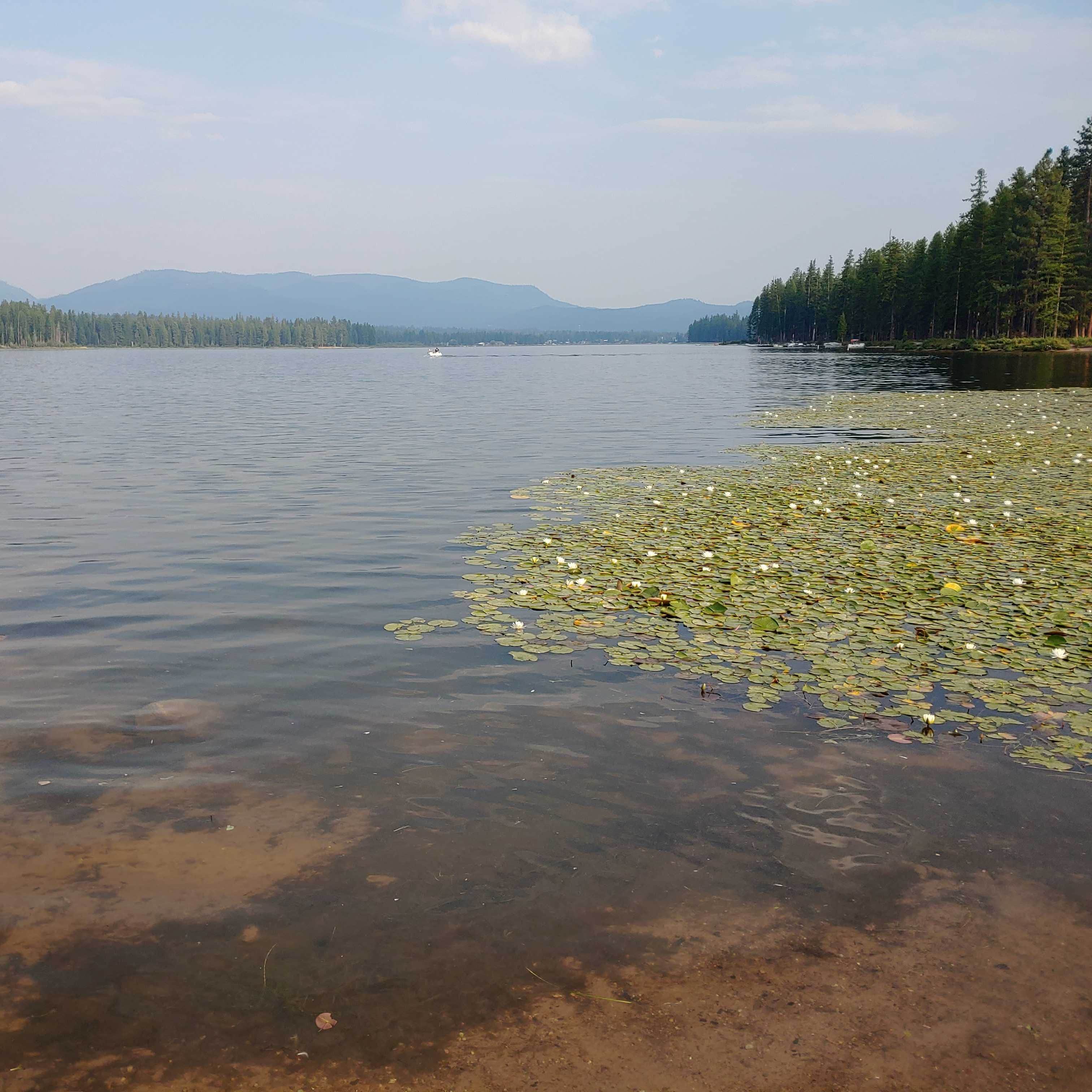 Seeley Lake Lolo Campground (MT) — Lolo National Forest | Seeley lake, MT