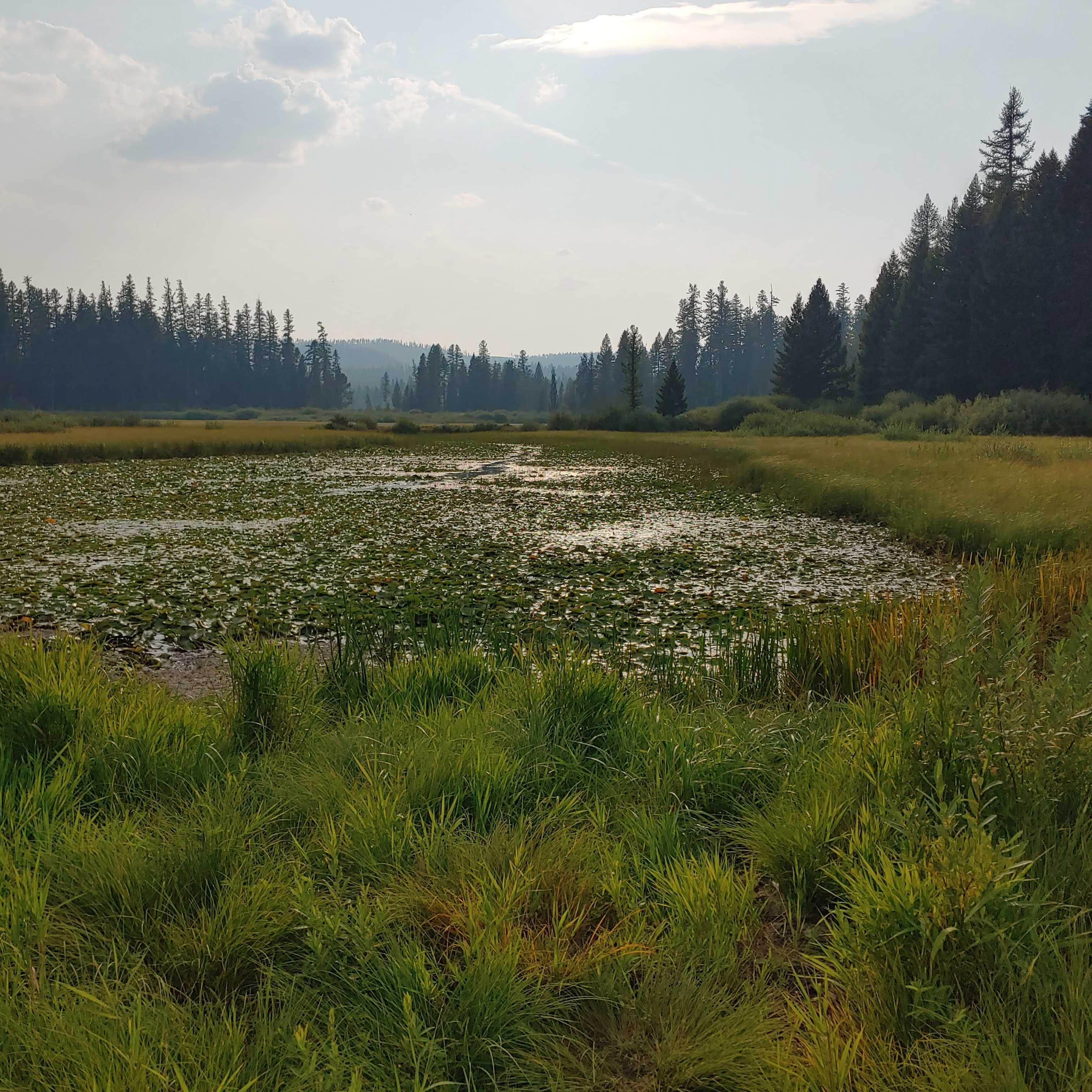 Seeley Lake Lolo Campground (MT) — Lolo National Forest | Seeley lake, MT