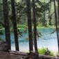 Council Lake Camping | Gifford Pinchot National Forest, Washington