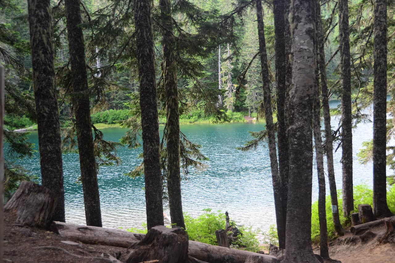 Council Lake Camping | Gifford Pinchot National Forest, Washington