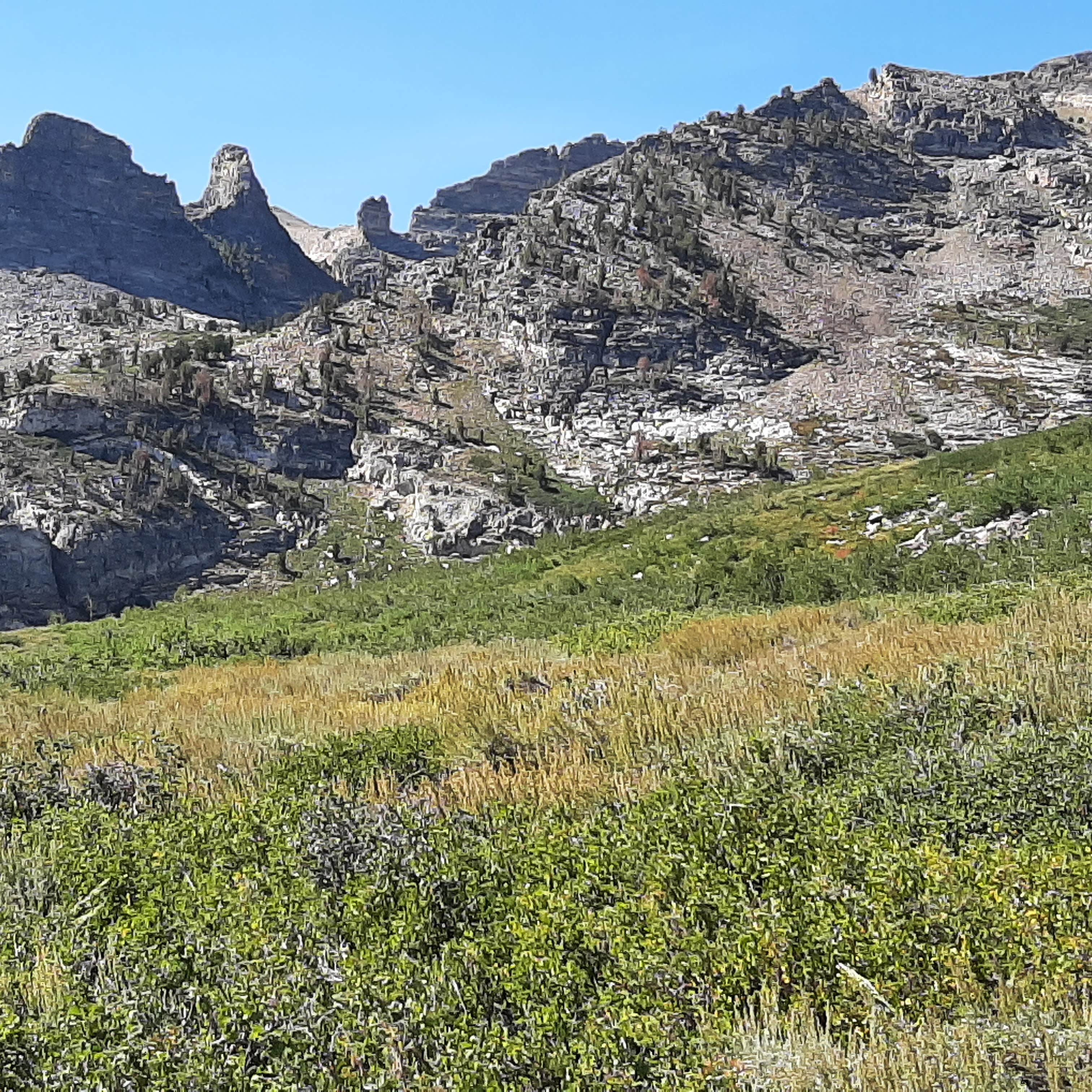 Humboldt National Forest Angel Lake Campground | Wells, Nevada