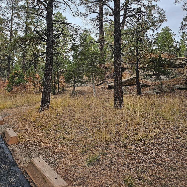 Devils Canyon Campground | Blanding, Utah