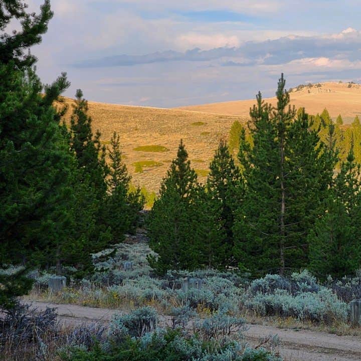 Grave Springs Campground | Lysite, Wyoming