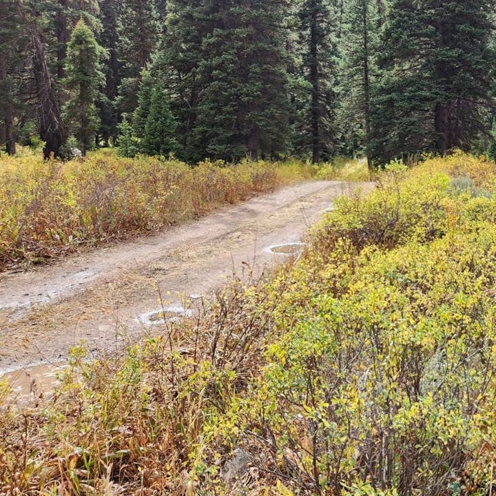 Grey's River 10138L Dispersed Camping | Grover, WY