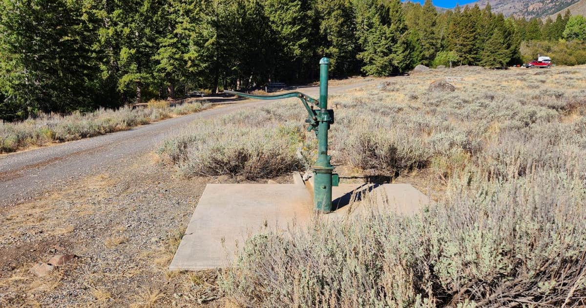 Camper-Submitted Photos of Iron Bog Campground