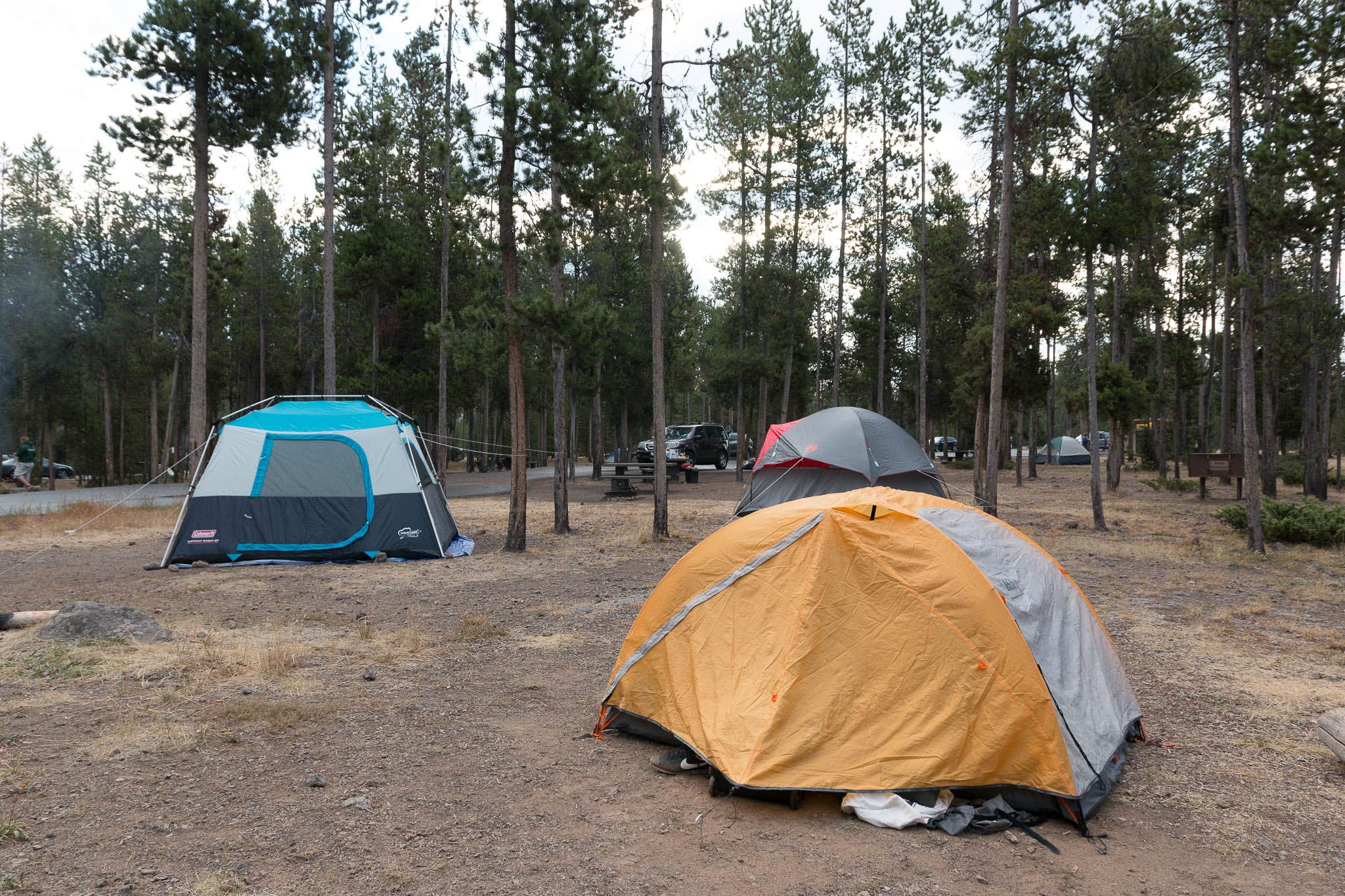 Madison Campground — Yellowstone National Park | Yellowstone national ...